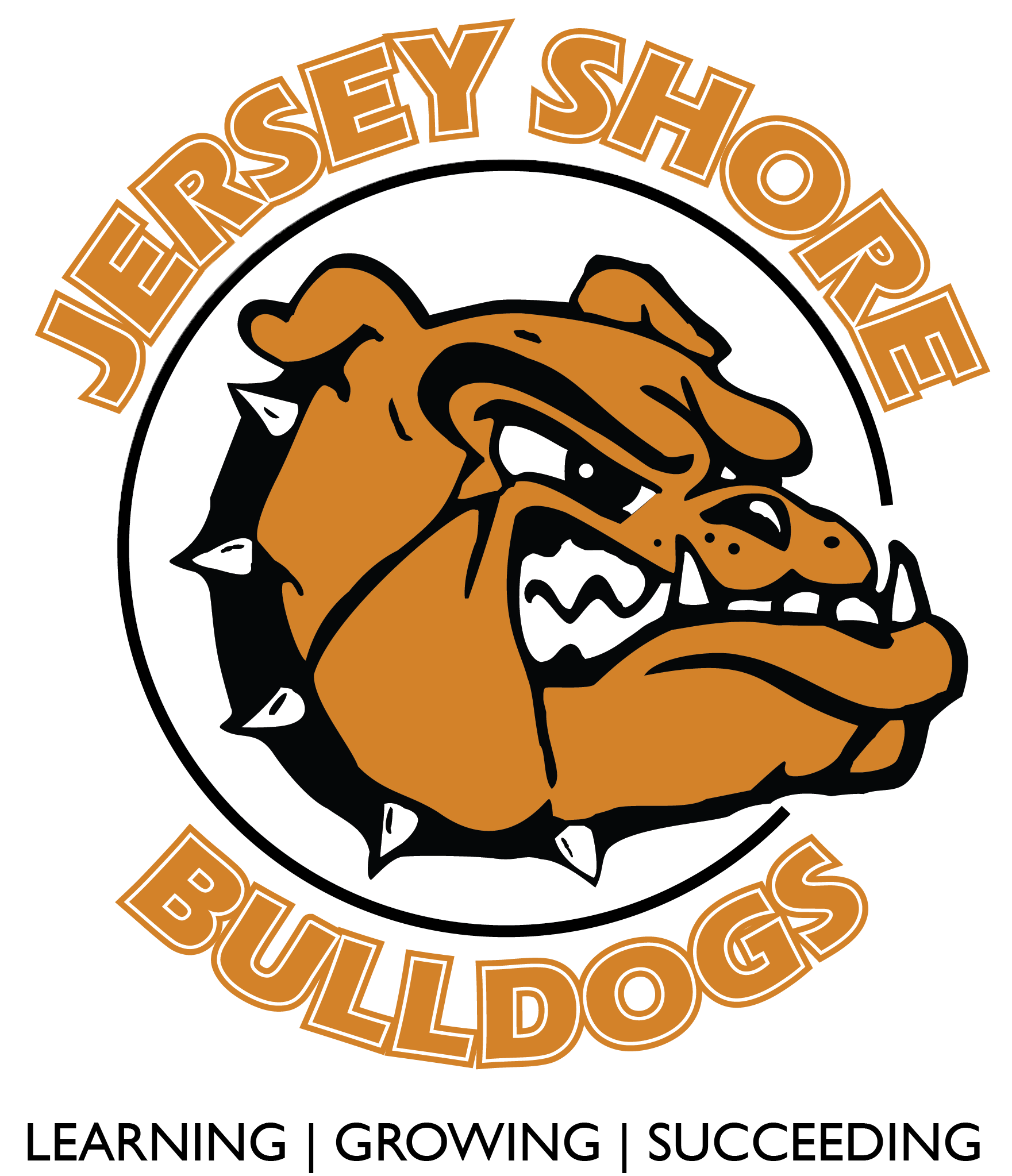 Jersey Shore Area School District