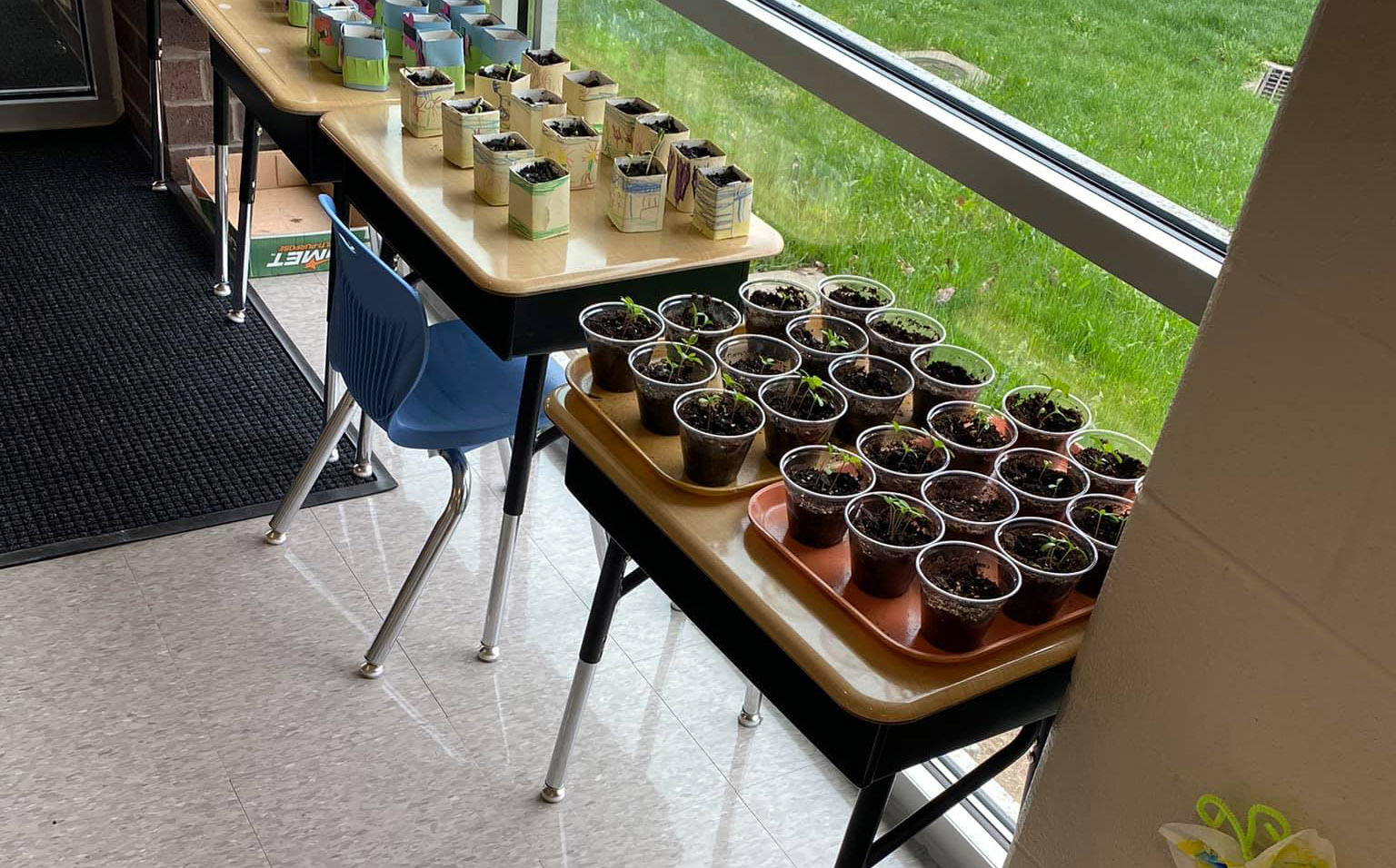 Jersey Shore Area School District